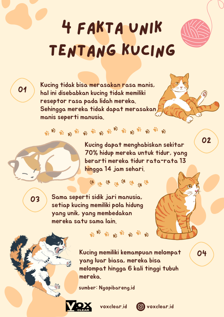 4 Fakta Unik Tentang Kucing – VoxClear.id